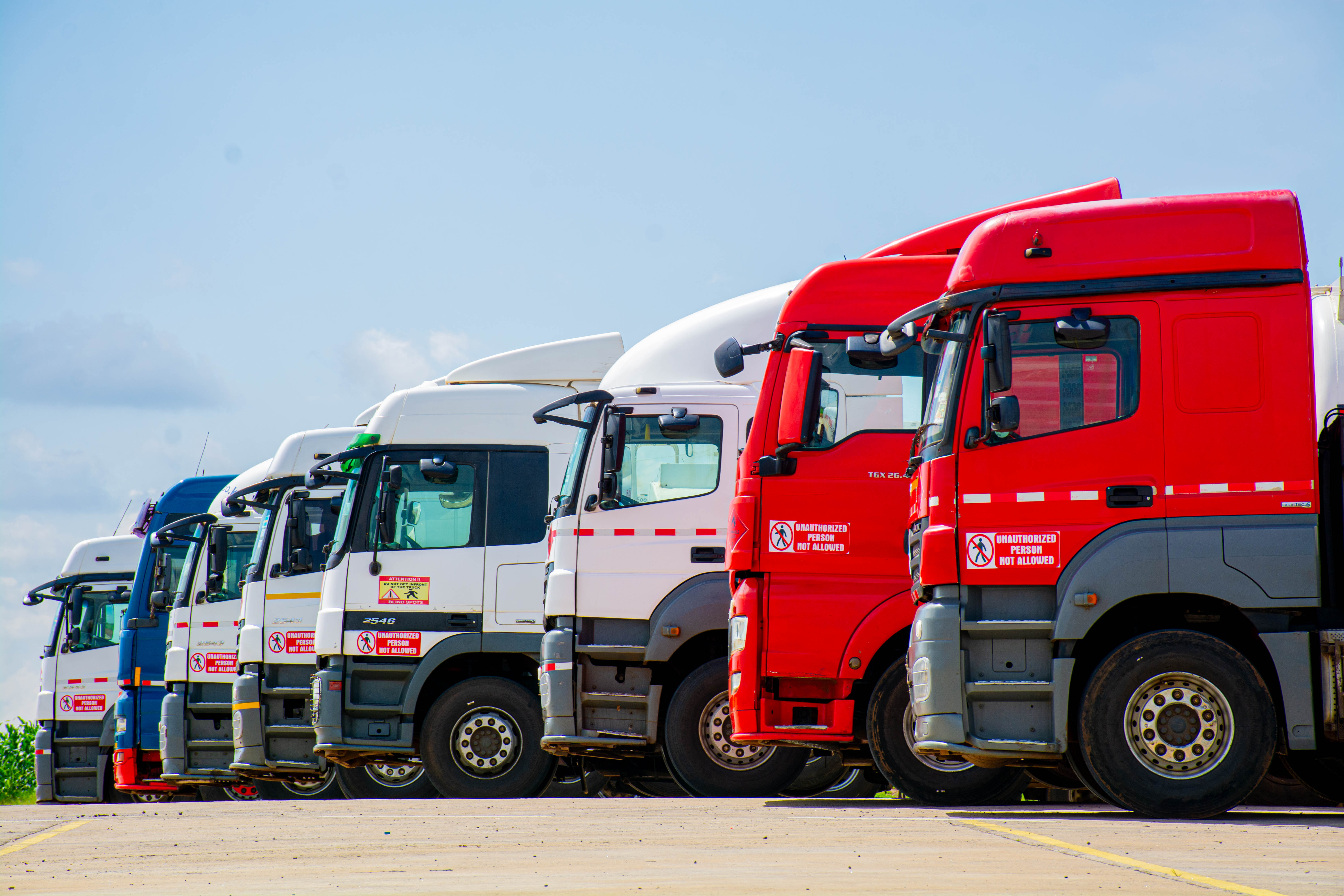 Services – Europet